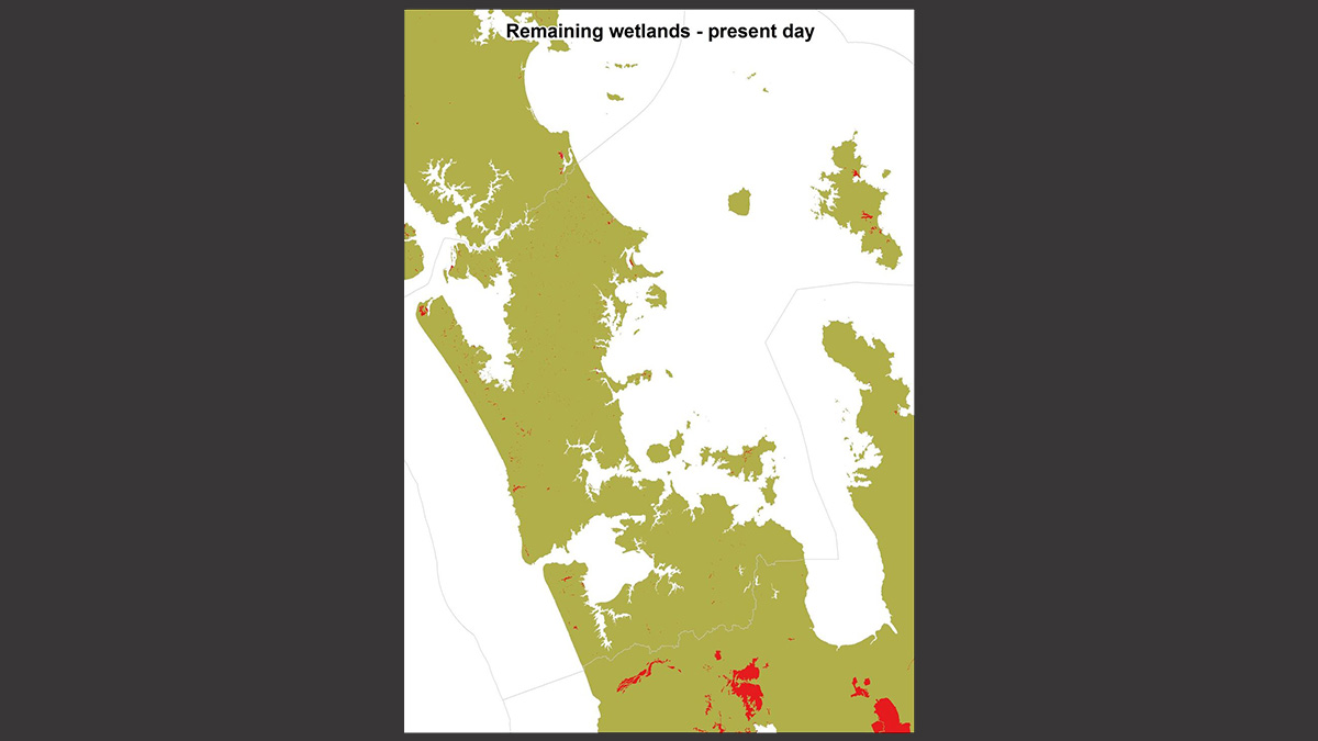 Dramatic maps released showing state of crisis in nation's wetlands | Stuff