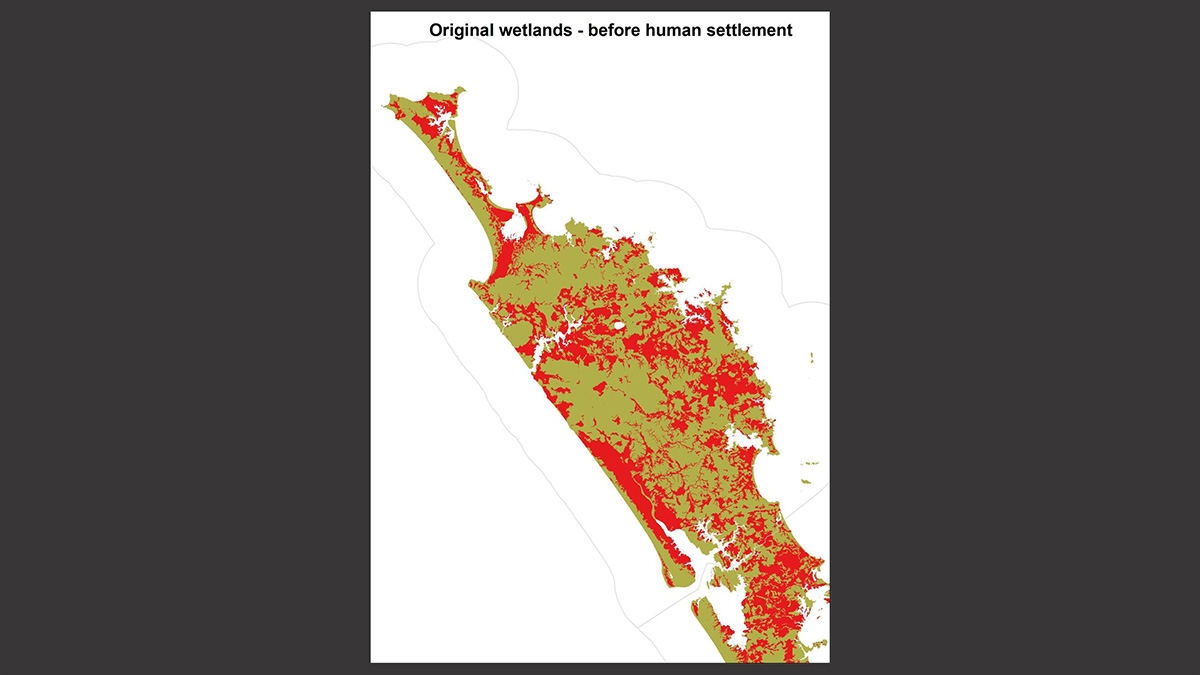 Dramatic maps released showing state of crisis in nation's wetlands | Stuff