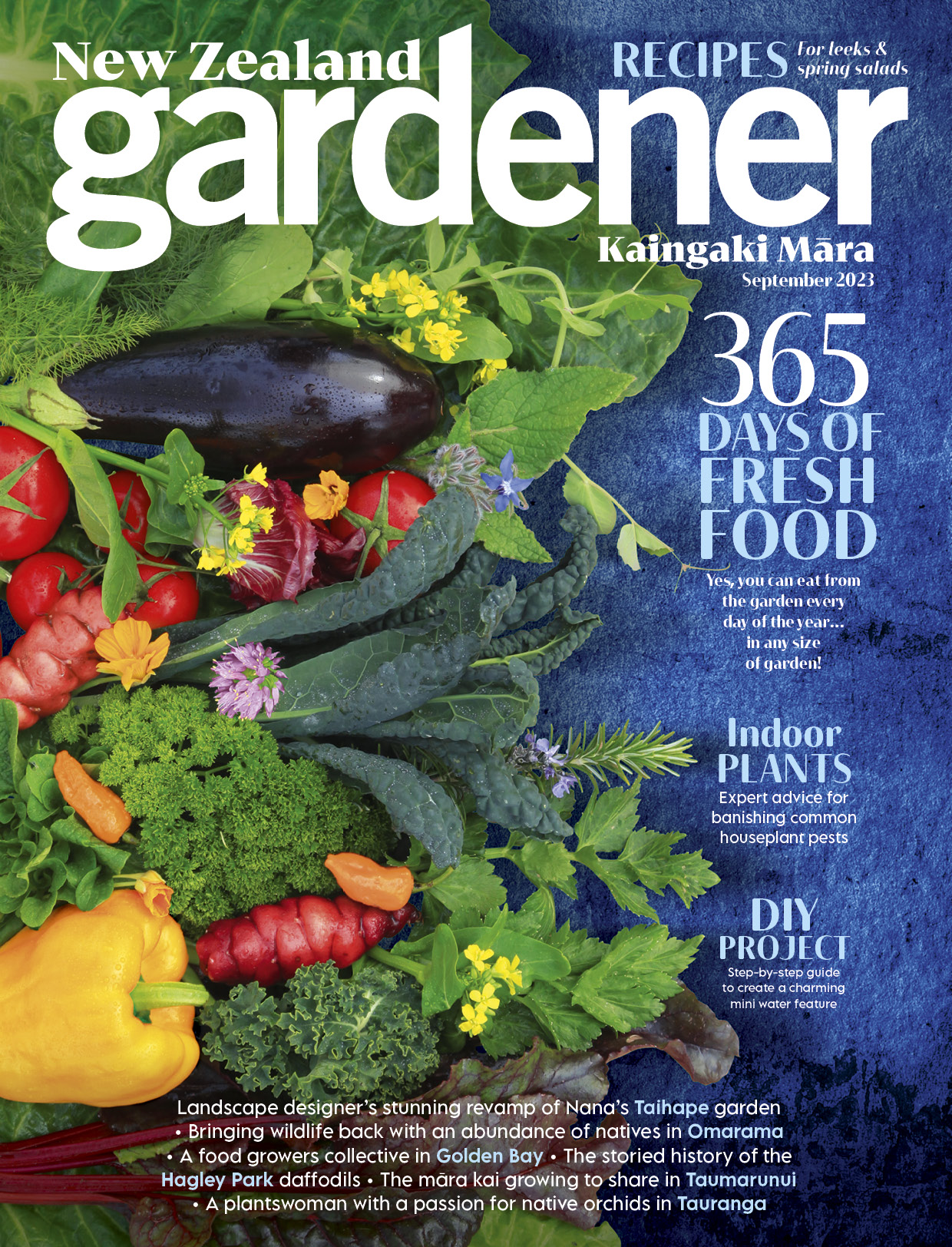 How to grow your own Asian greens | Stuff.co.nz