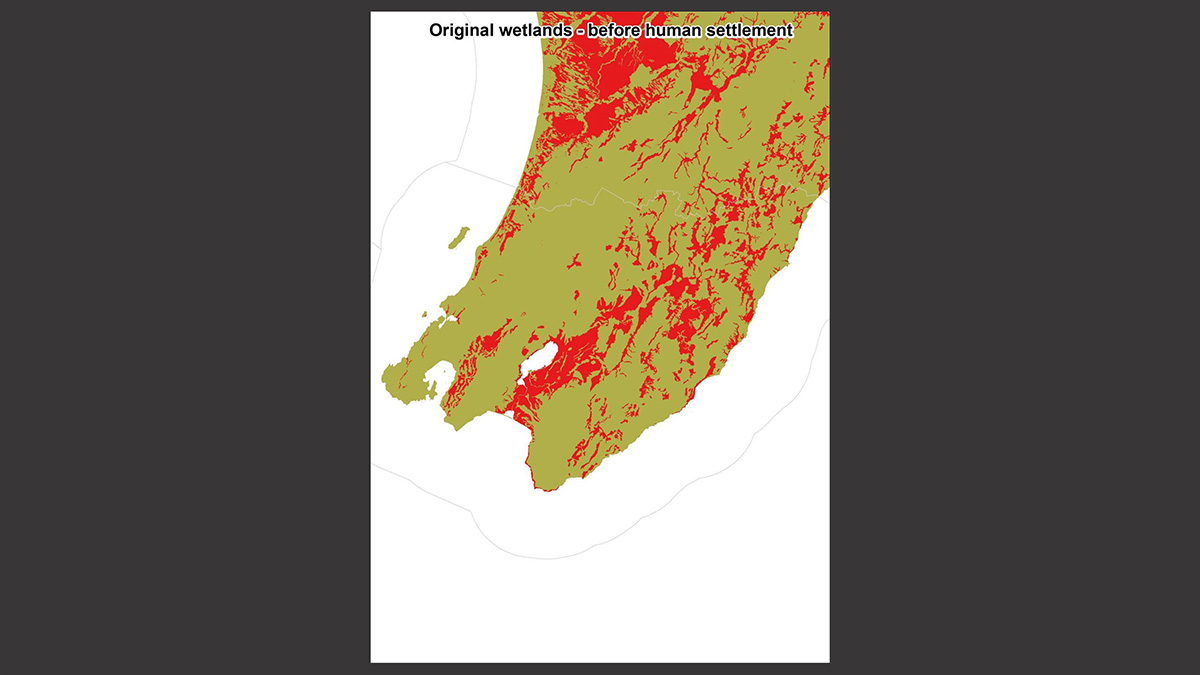 Dramatic maps released showing state of crisis in nation's wetlands | Stuff